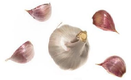 Kumbe kitunguu saumu kinalipa hivi | JamiiForums