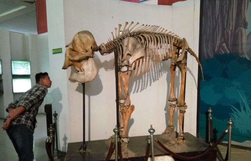 Museum Ronggo Warsito Semarang - Geograpik