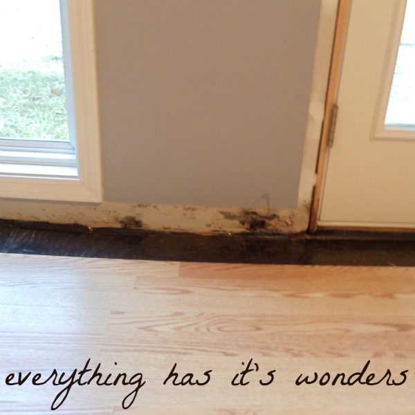 Everything Has It's Wonders