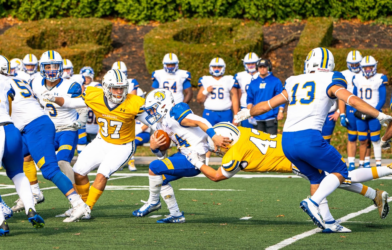 Lycoming Football: Lycoming Football Photo Album - Warriors Dominate ...