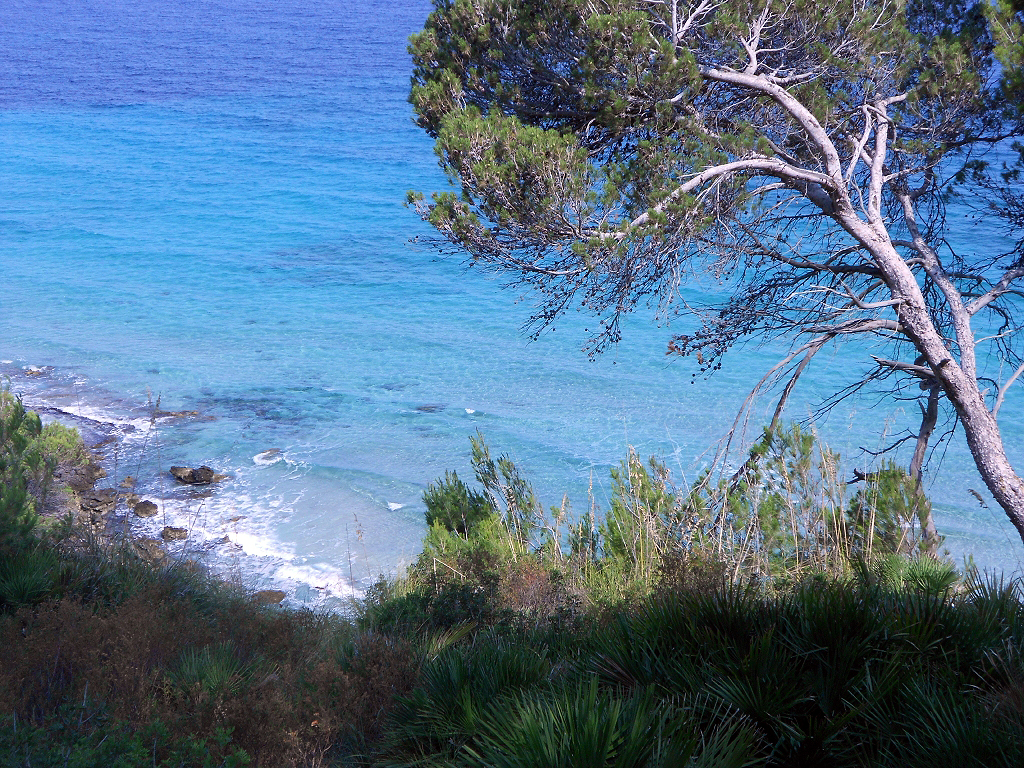 UEP!: NA CLARA I ES CALÓ DE BETLEM (platges verges).