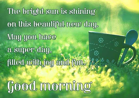 50+ Good Morning SMS and Messages Images, Good Morning GIFS Download