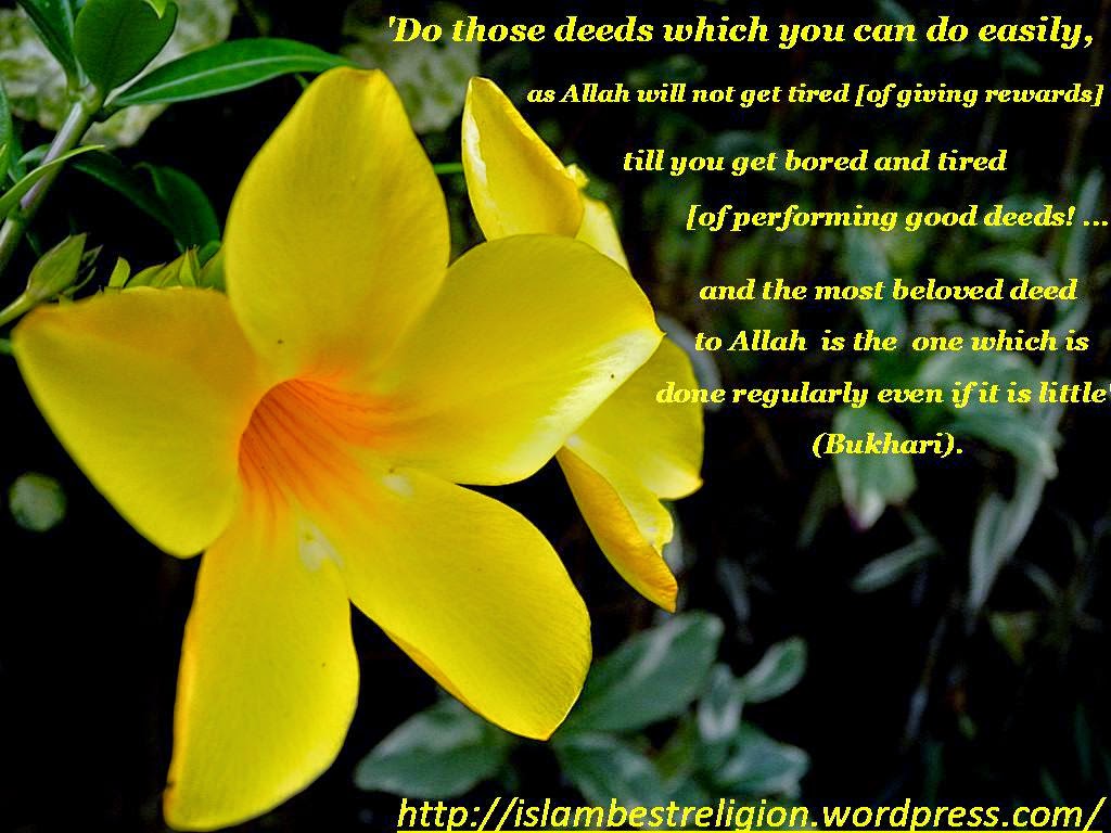 Islam Is The Best Relegion: ISLAM THE PERFECTION OF LIFE