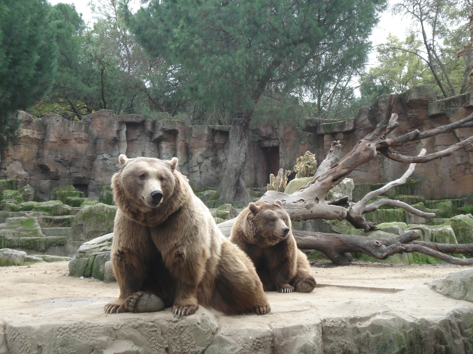 PRIMERO Y TERCERO DEL PERÚ: VISIT@ @L ZOO
