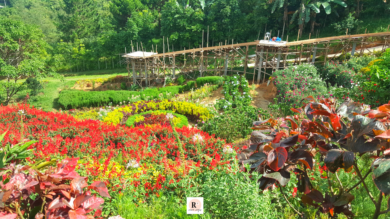 Buwakan ni Alejandra: Balamban, Cebu's Flower Garden - Reina Regis