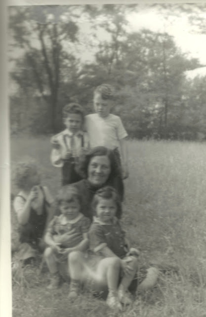 Robin's attempts to fly away home...: Tully