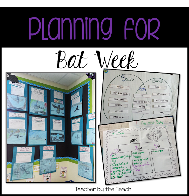 Planning for Bat Week - Teacher by the Beach