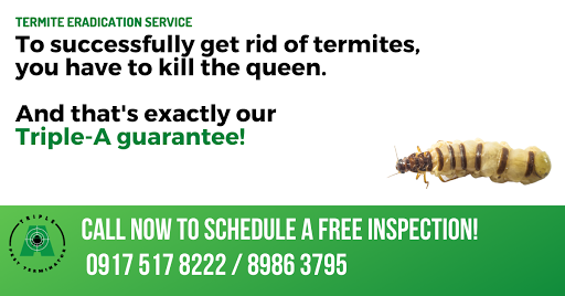 Triple A Pest Terminator | Pest Control Quezon City, Manila, Philippines