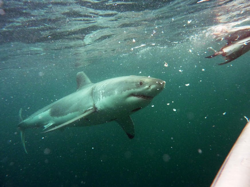 Adventure of a Lifetime: One of my Top Three Favorite Trips/Places in ...