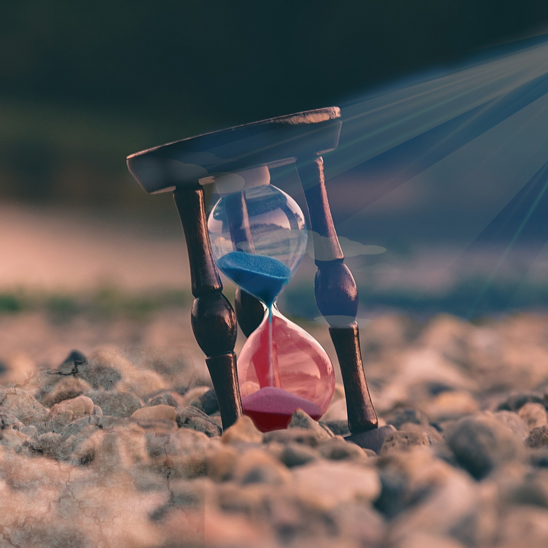 la semilla de cada dia: Un corazón lleno de amor siempre será un ...