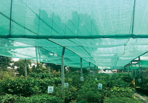 Daftar Harga Insectnet per September 2023 - Lim Corporation