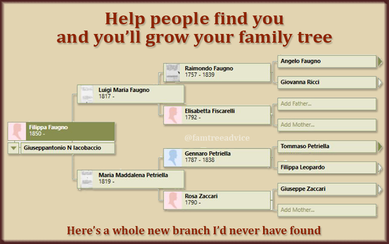 Fortify Your Family Tree: How to Find Your Connection to a Distant Relative