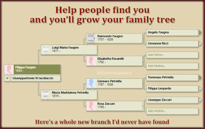 Fortify Your Family Tree: How to Find Your Connection to a Distant Relative