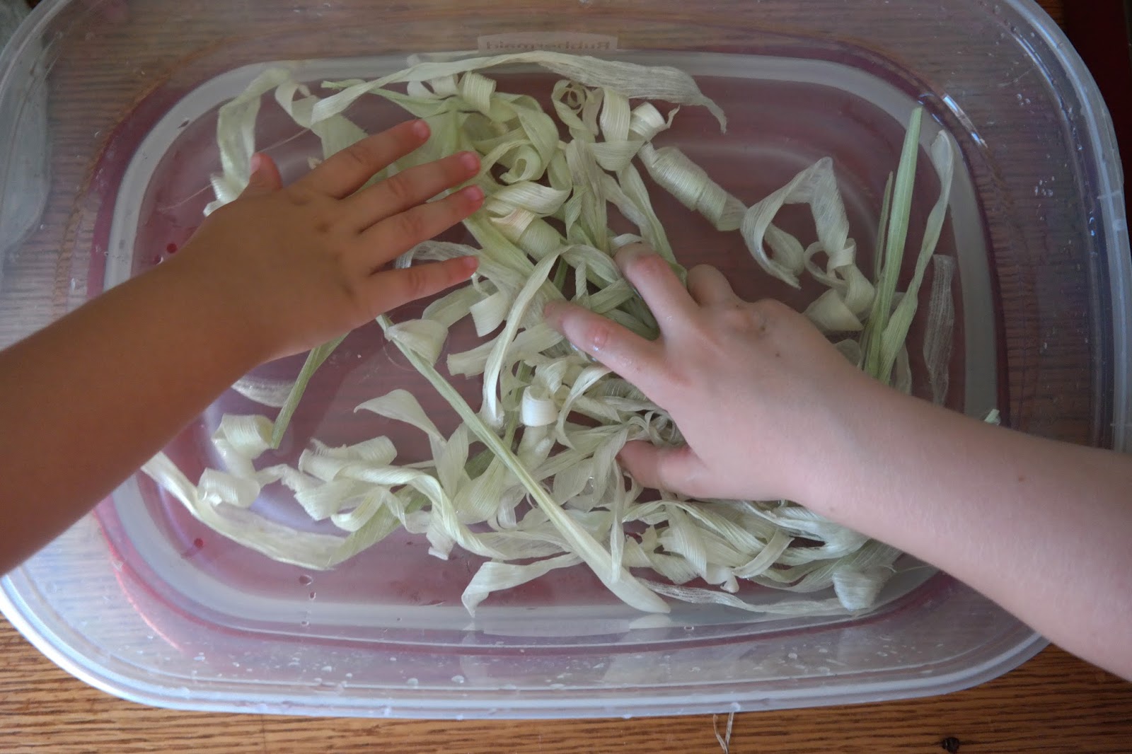 Glimmercat Education: Making "Papyrus" Paper From Corn Husks