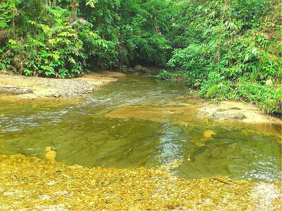 KAMPUNG TEPOI,TEBEDU,SERIAN,SARAWAK