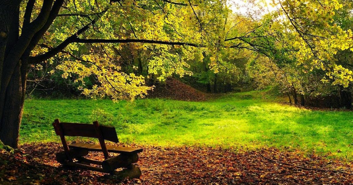 COMPARTIENDO - SHARING: ¿HABRÁ UN LUGAR DONDE VIVIR TRANQUILO?