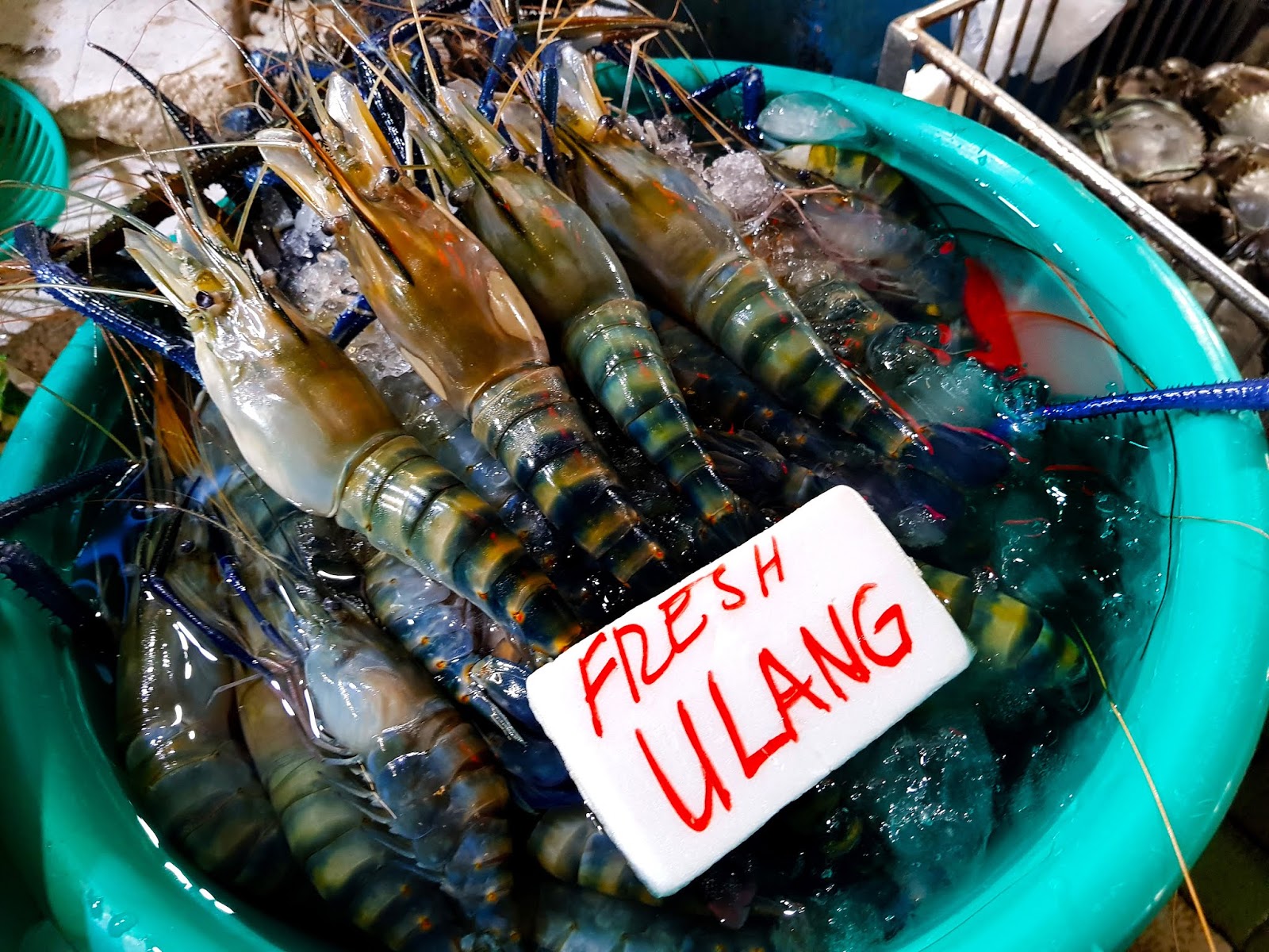 Why Pinoy Ulang Might Overtake the Global Shrimp Market ~ Wazzup ...