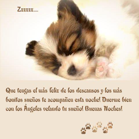 buenas noches, Feliz descanso ~ Mejores Mensajes