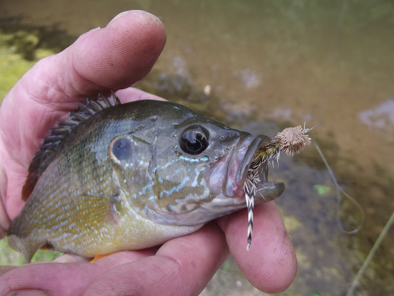 Drifting The Prairie Ocean Outdoor Journal: Fly Fishing Oklahoma ...