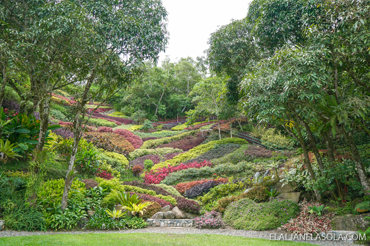 Elal Lasola Travel & Photography: Where to Eat along Cebu Transcentral ...