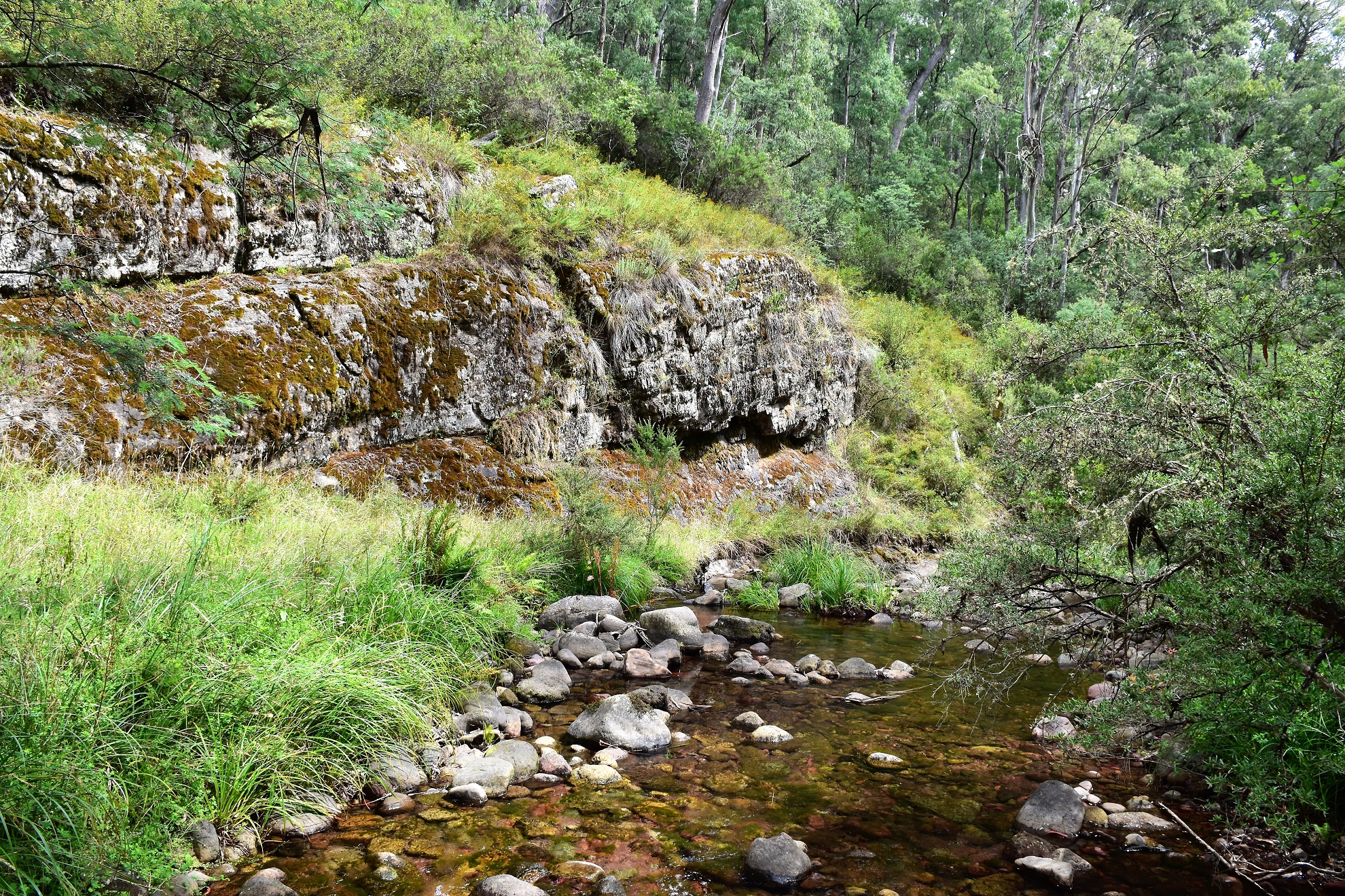 Goin' Feral One Day At A Time: Stanley Name Spur Camp to Upper Howqua ...