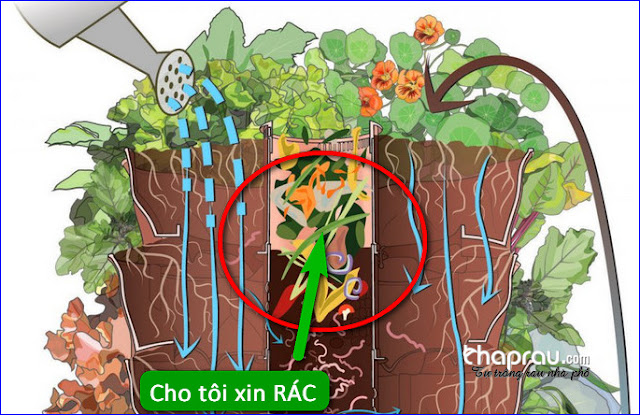 Dùng rác nhà bếp để trồng rau | Tháp rau