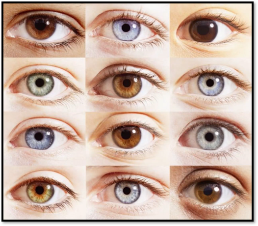 8 [POPULAR] INDIAN SKIN TONE CHART