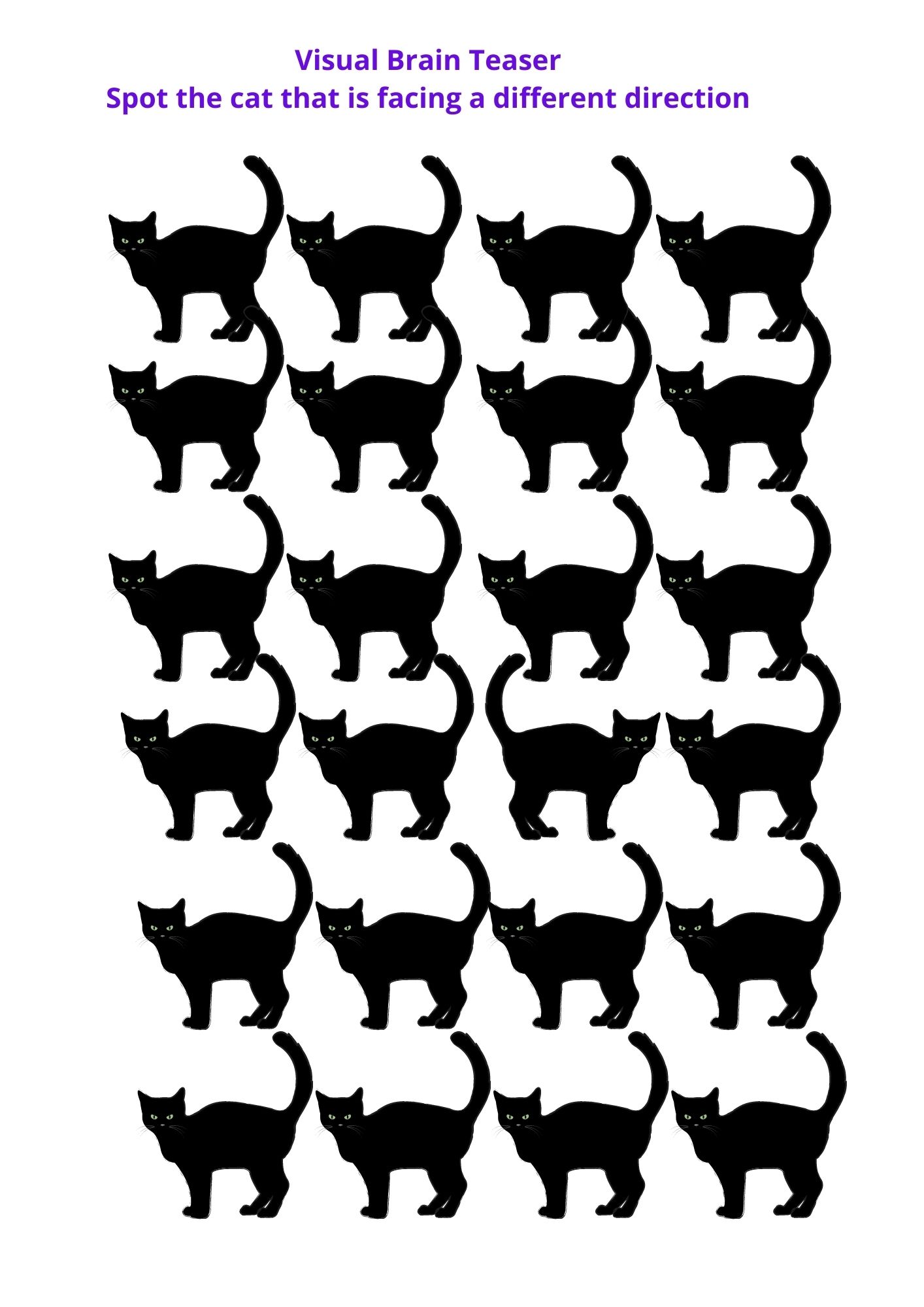 Art with Catherine - Visual Brain Teaser - Sligo Community Training Centre