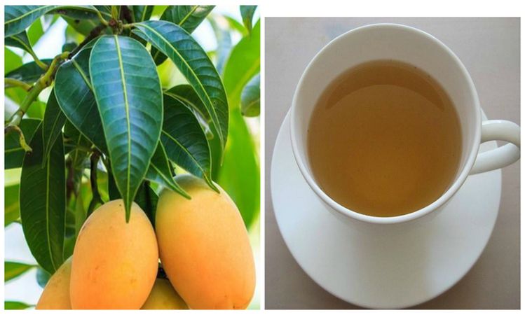 Recetas Naturales: Médico Japonés revela los secretos y propiedades ...