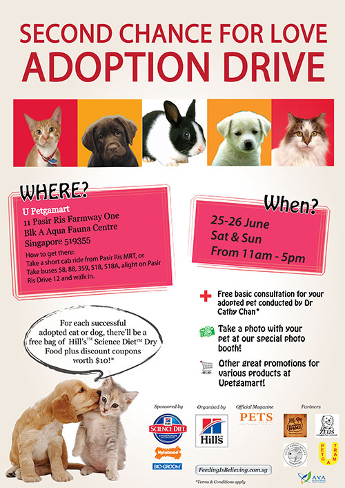 The Rehomers: 19/06/11 - 26/06/11