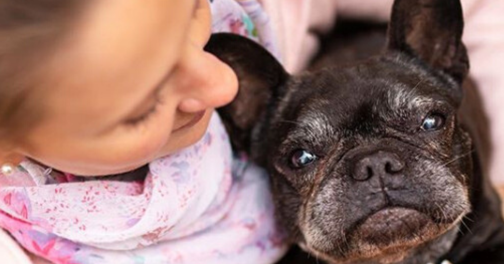 How to Train Your Dog With a Clicker - Dog Tips | Dog Tips Secret