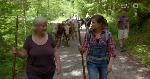 Bib Overalls Film Blog: Anna auf der Alm (Anna und die wilden Tiere)