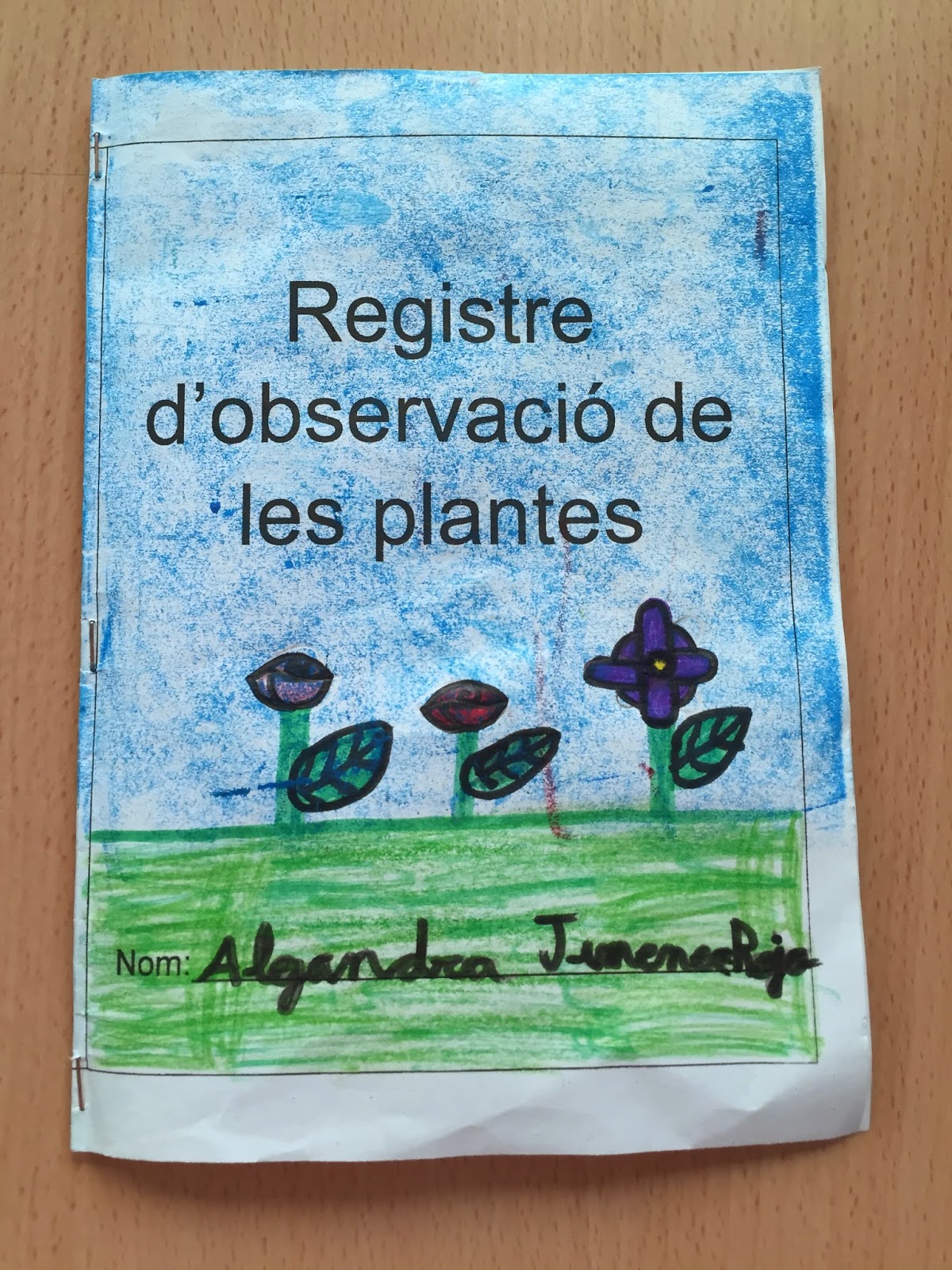 Descubrimos y aprendemos: mayo 2015