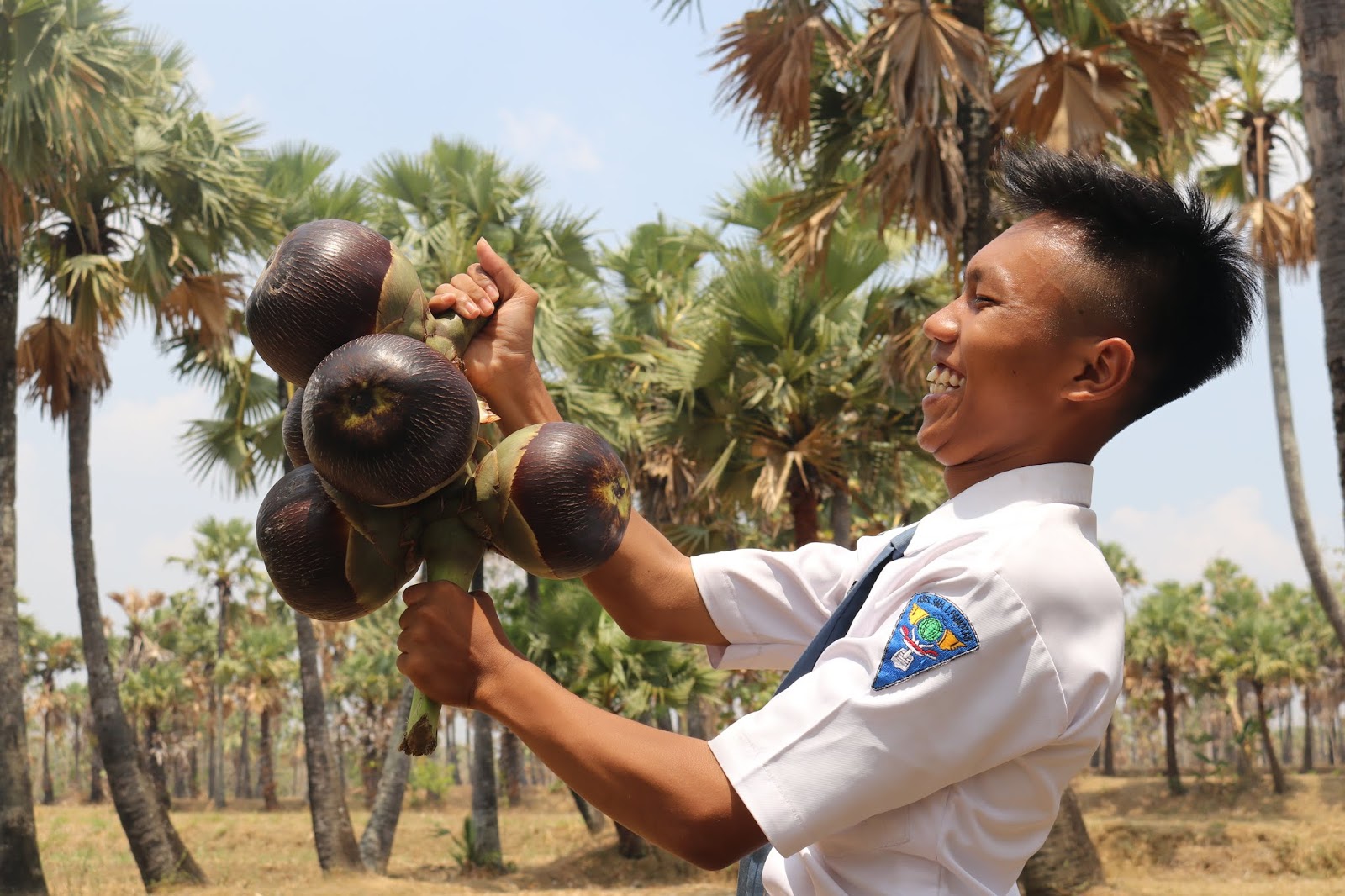 Buah Siwalan Pohon Lontar - Seri Fotografer Mochammad Satrio Pratama ...