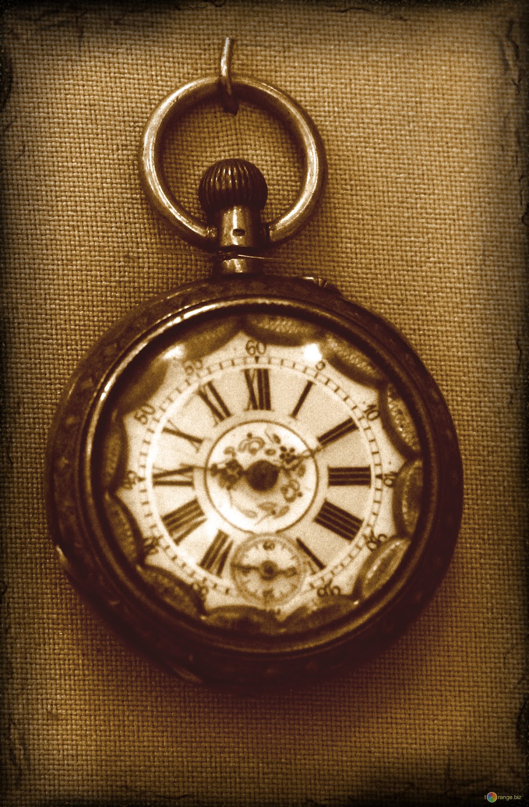 Free Images Stock tOrange.biz: ANTIQUE WATCHES FREE PICTURES