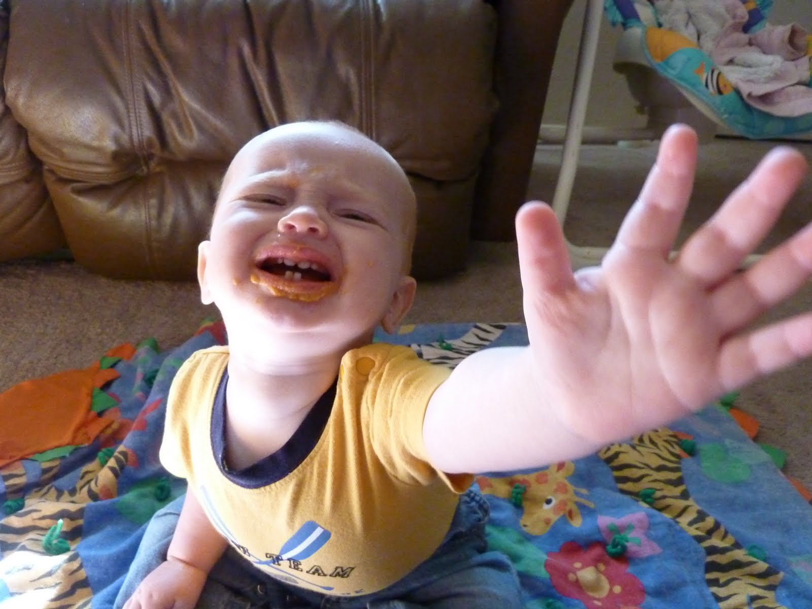 Tilton Family: Come to MEEEEE!