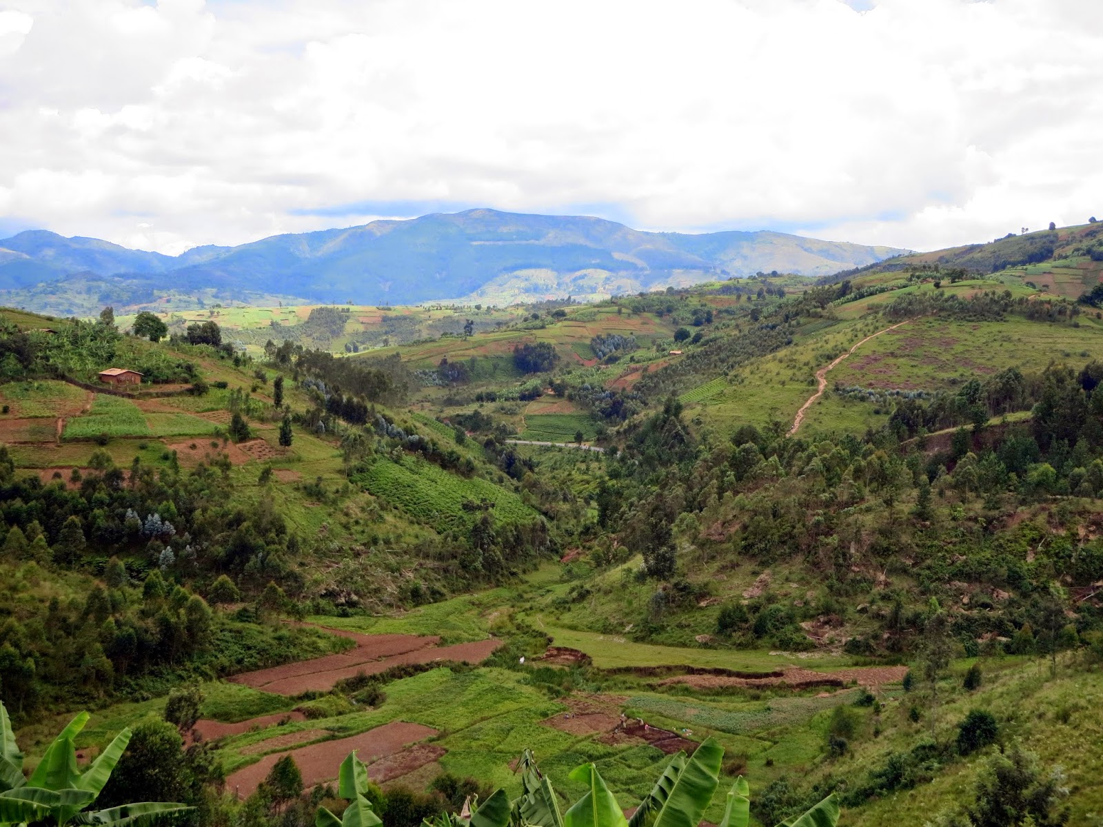 Impressions du petit pays