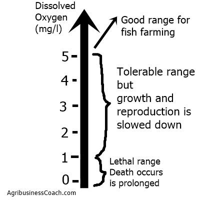 Causes of Low dissolved oxygen in fish pond water and how to improve it ...