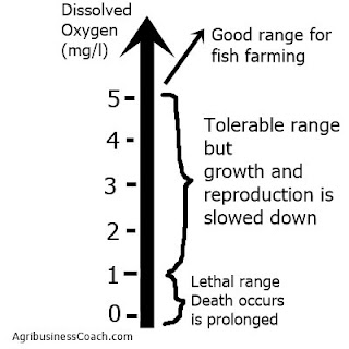 Causes of Low dissolved oxygen in fish pond water and how to improve it ...