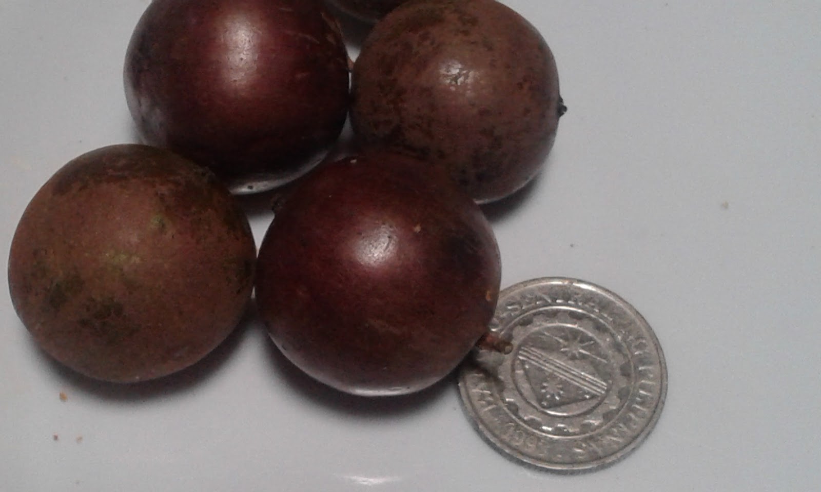 Do you still remember how Sarali or Sirali taste?