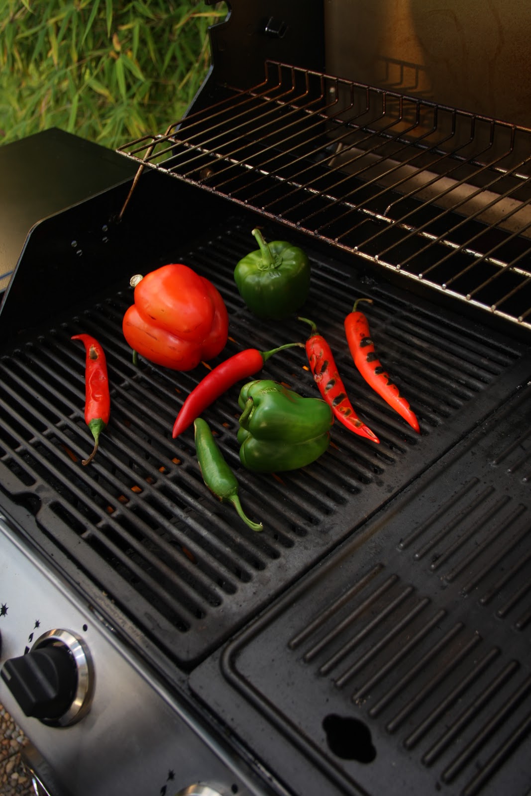 MR Fluga i köket: 22 aug. 2011