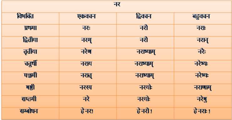 Nara shabda roop in Sanskrit