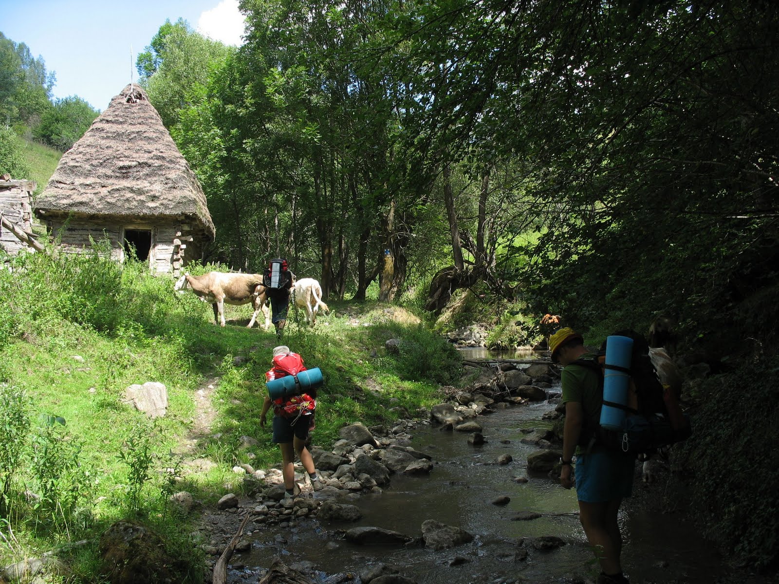 Tur de Apuseni, ziua 3 - Cheile Rametului, Cheia, Bradesti, Floresti ...