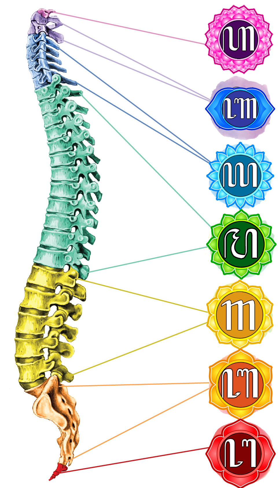 Pengetahuan Tentang 7 Chakra Utama Manusia | Info Blog 97
