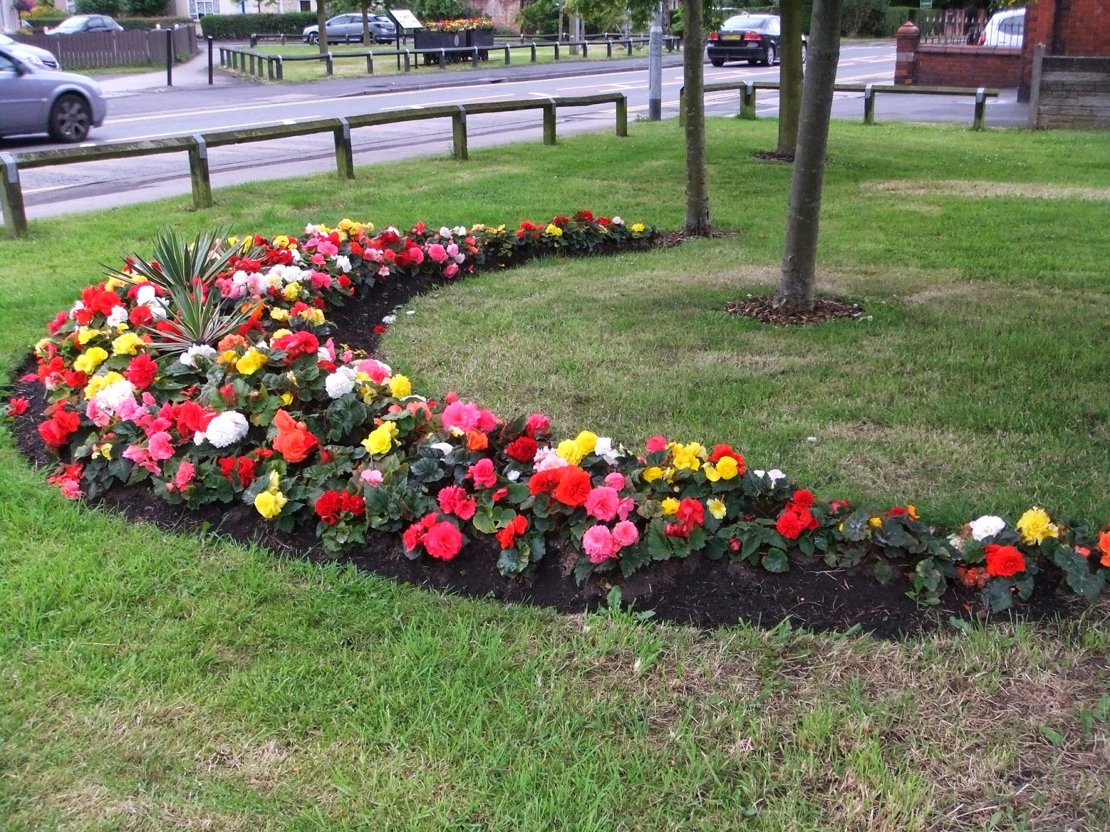 Shevington in Bloom: Hospice Flower Bed