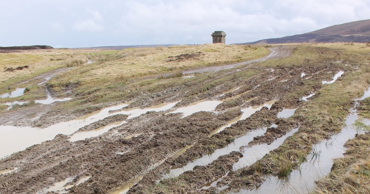 Valley Naturalist: Mudlarks
