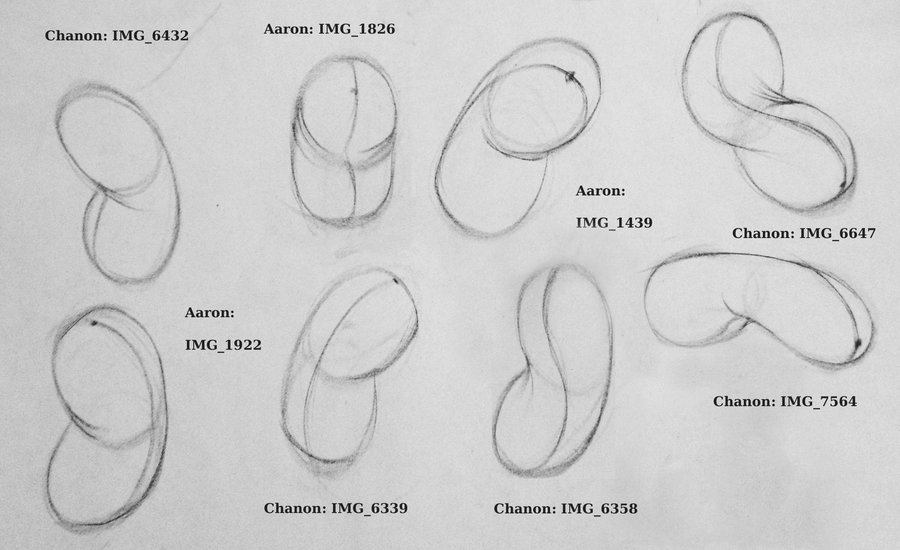 LCAD Portfolio Development