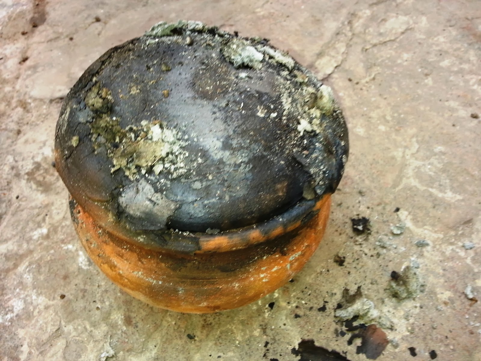 45.பித்தப்பை கற்களுக்கு சித்த மருந்து.(pitha pai kal): பித்தப்பை ...