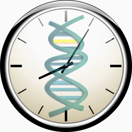 Genetic Clock Research Disputes Evolutionary Predictions