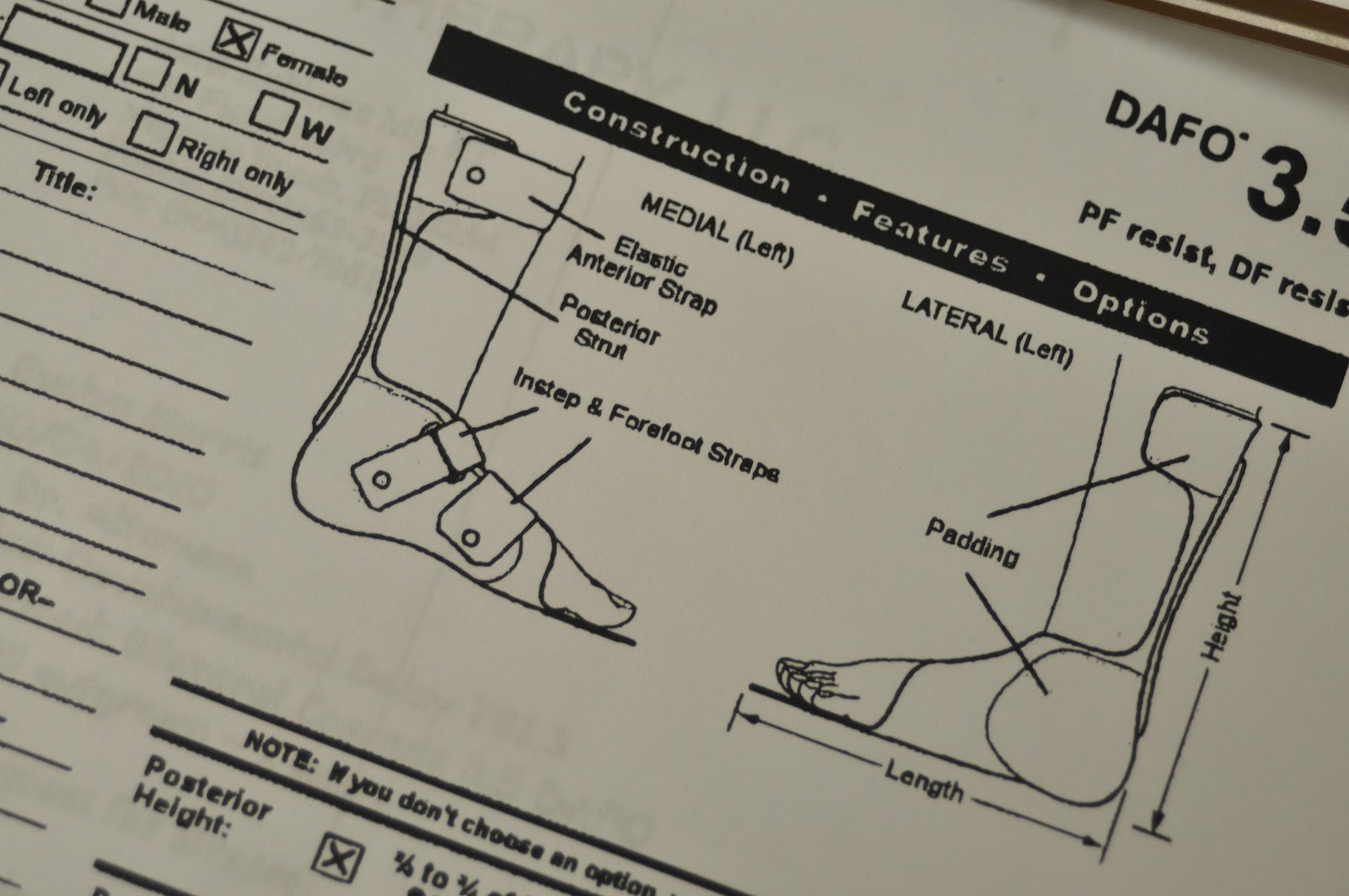 Sunshine in a Hypotonic World: Getting AFO's: Part 1